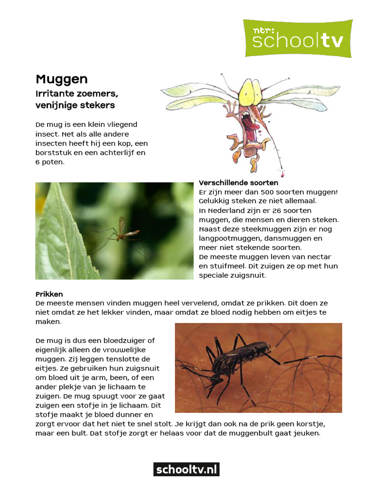 Muggen | PDF