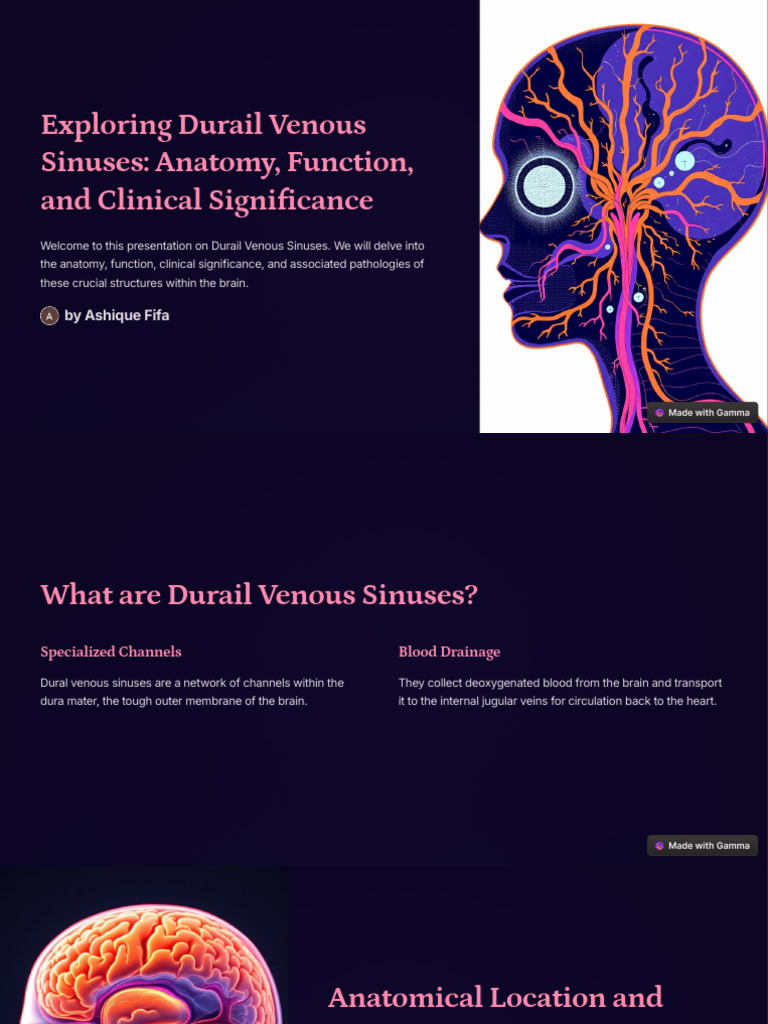 Exploring Durail Venous Sinuses AnatomH | PDF | Vein | Thrombosis