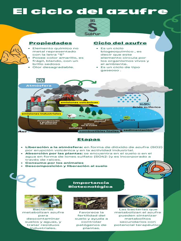 Infografía Educativa Sobre El Ciclo Del Azufre | PDF