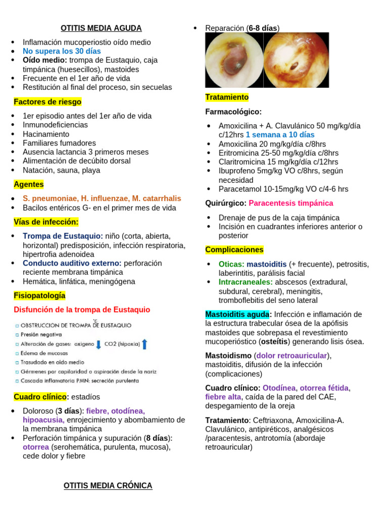 Guía Completa sobre Otitis Media | PDF | Sistema Auditorio ...