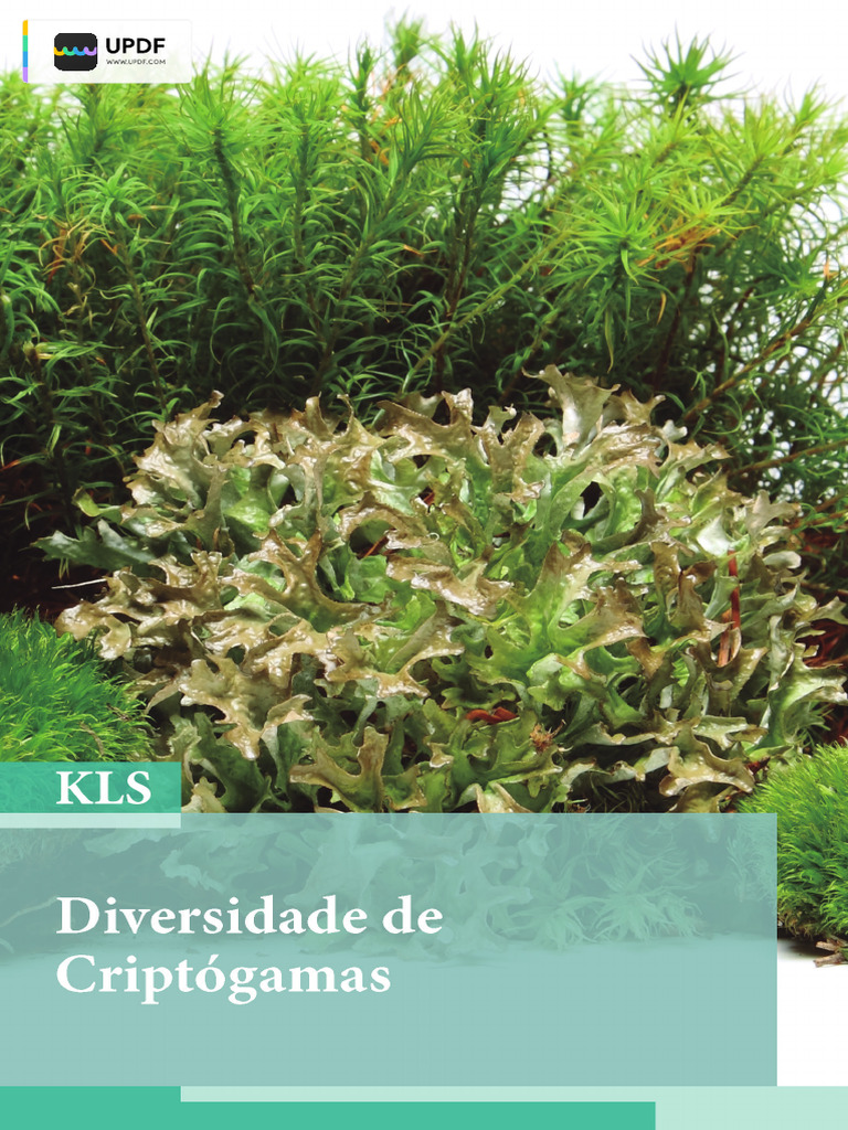 Diversidade de criptógamas | PDF | Célula (Biologia) | Parede celular