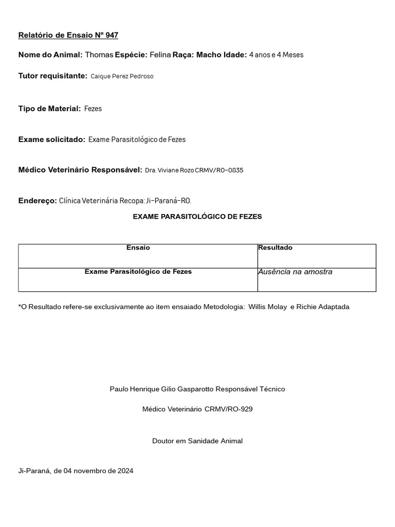 Sojo EPF - Docx - 20241106 - 143744 - 0000 | PDF