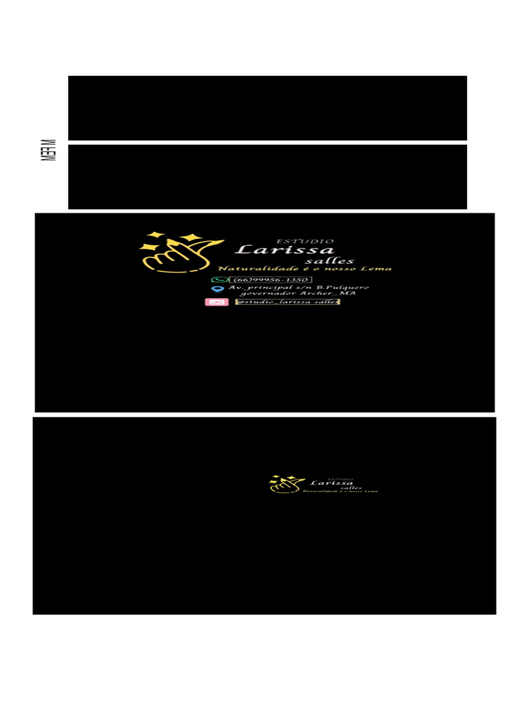 Larissa Salles | PDF