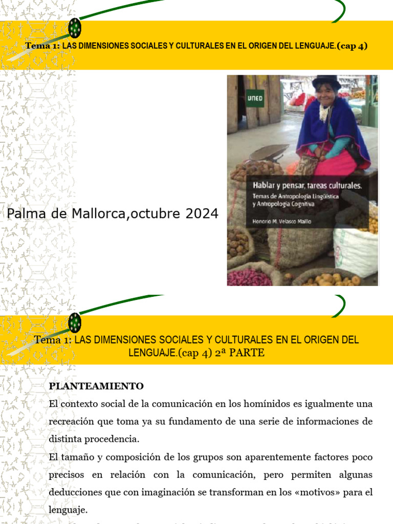 03 A CyS I 2425 Tema 1 (Cap 4) 2 Parte | PDF | Paleolítico | Edad de Piedra