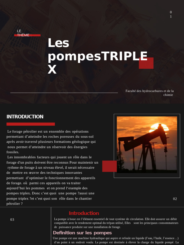 Triplex | PDF | Pompe | Piston