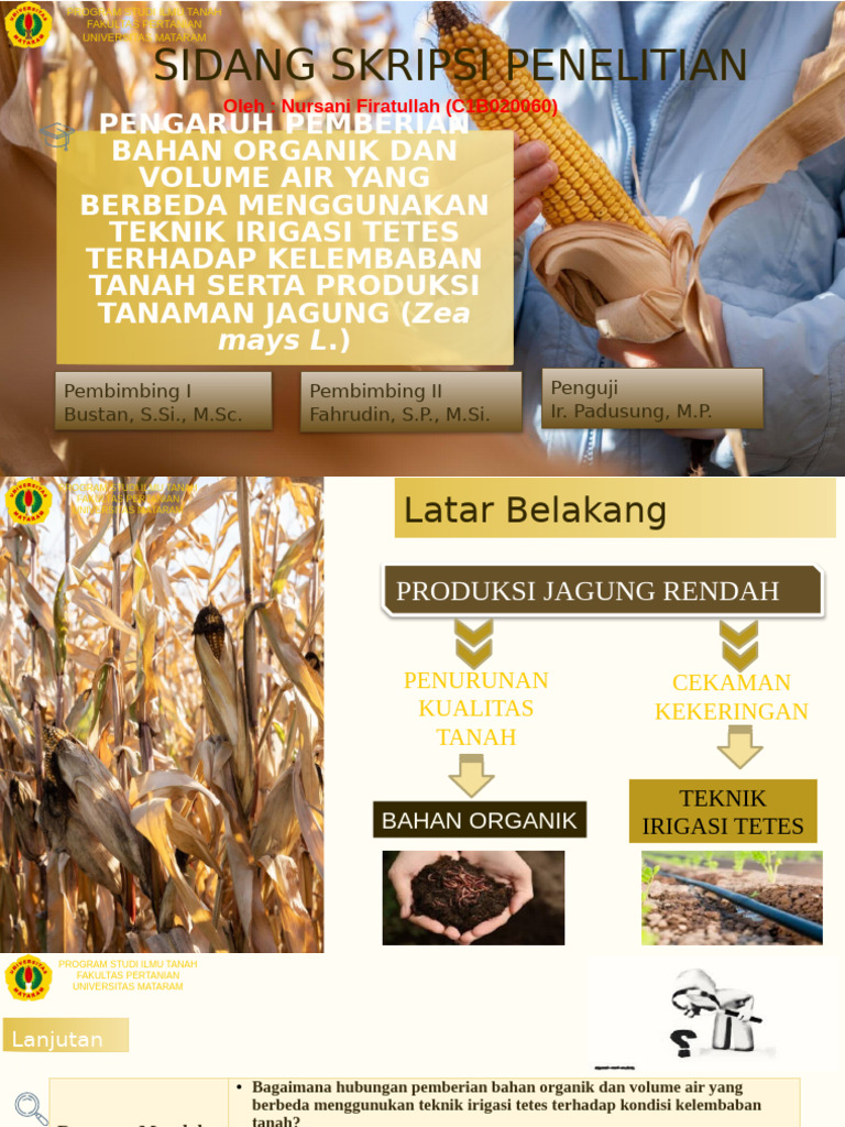 Industrial Corn Farm Business Plan by Slidesgo | PDF