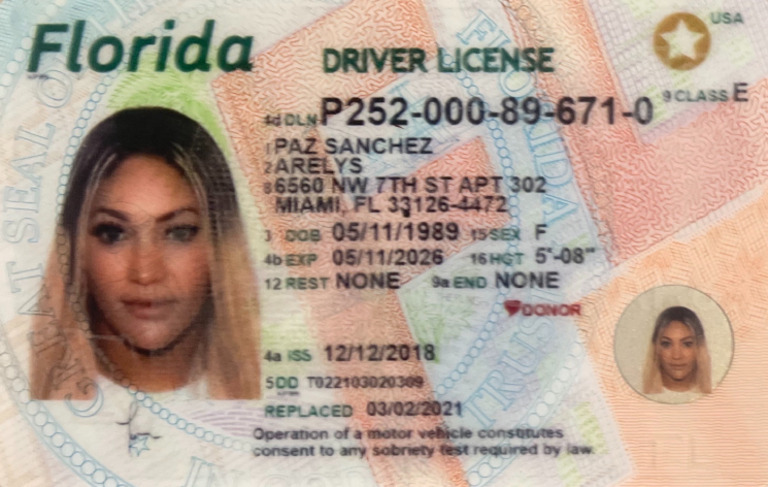 Driver License | PDF