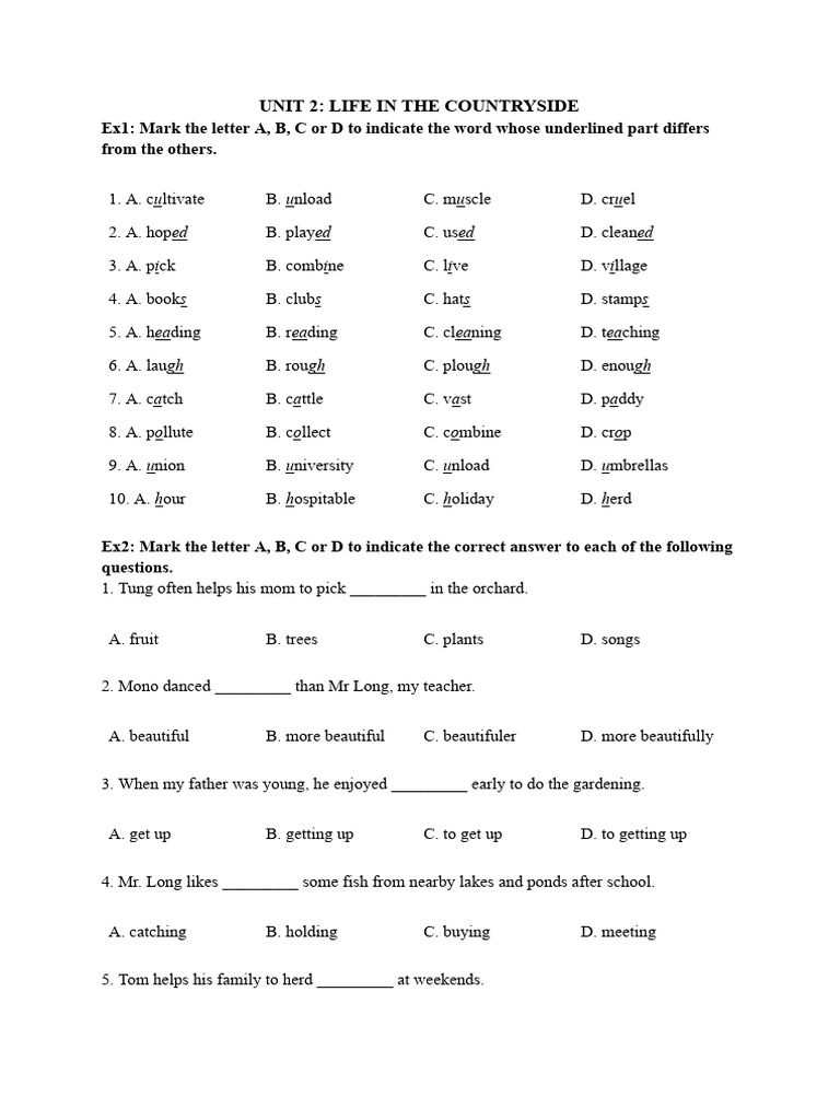 (Global Success 8) Unit 2 Exercises | PDF
