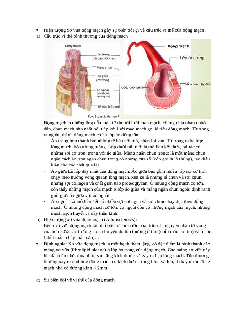 TM Flu Vnu | PDF