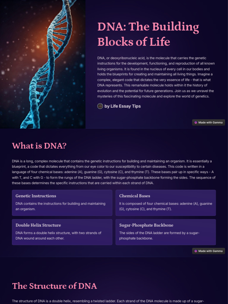 DNA The Building Blocks of Life | PDF | Dna | Messenger Rna
