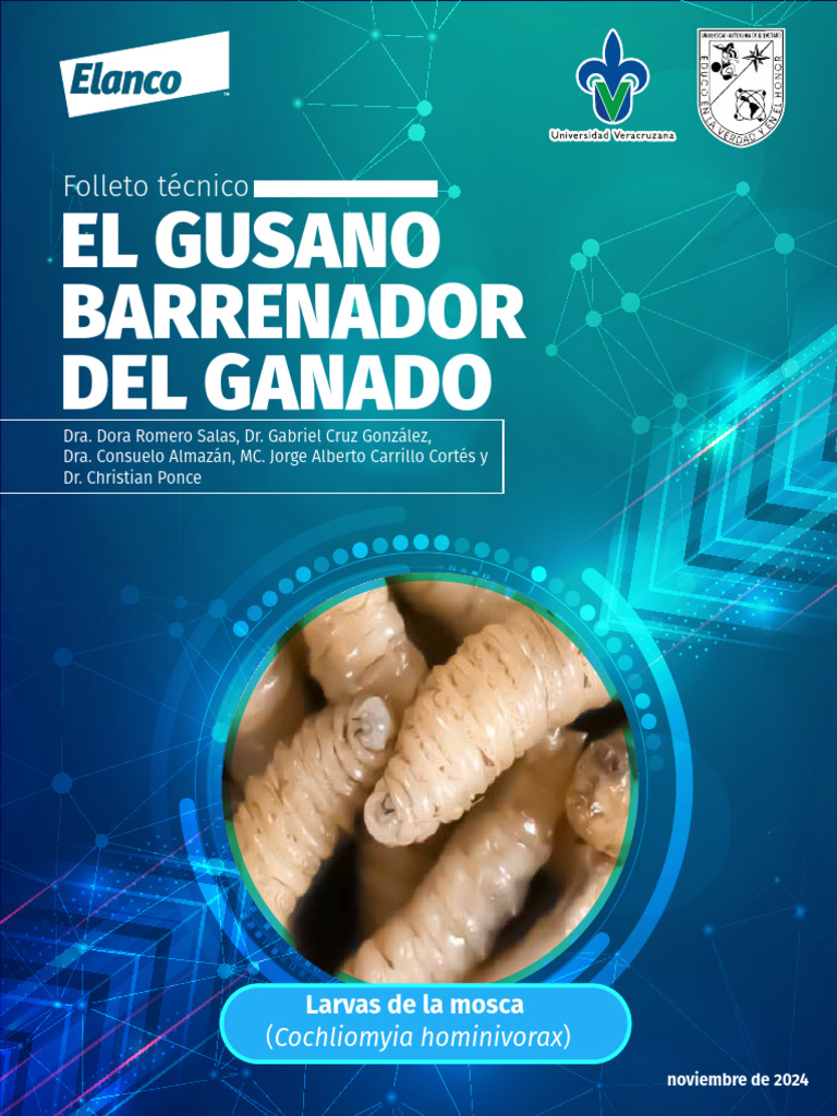 Gusano Barrenador Del Ganado Guía Técnica Pdf Mosca Herida