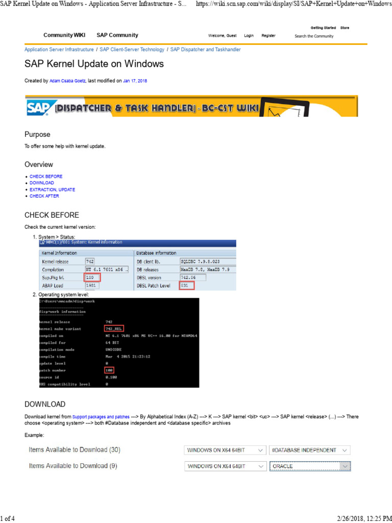 SAP Kernel Update On Windows | PDF | Microsoft Windows | Download