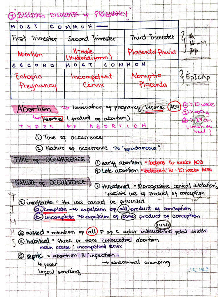 Chica Maternity Notes | PDF