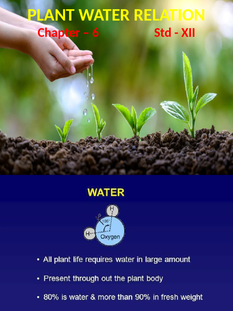 Plant Water Relations | PDF | Water | Properties Of Water
