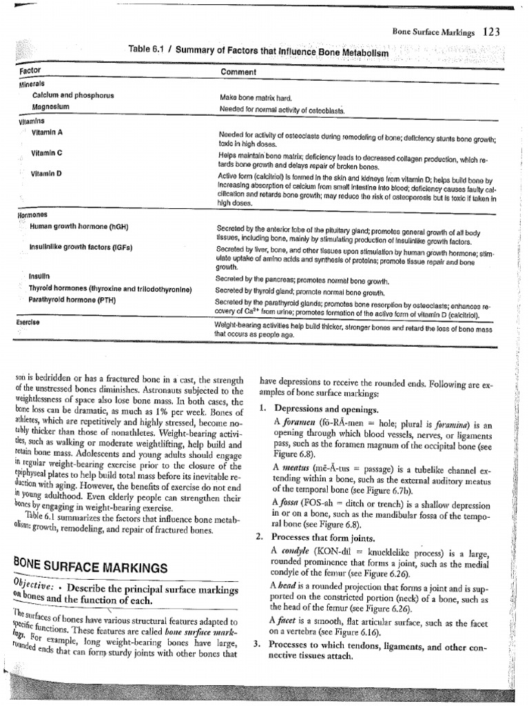 Bone Surface Markings Document for Vocab | PDF