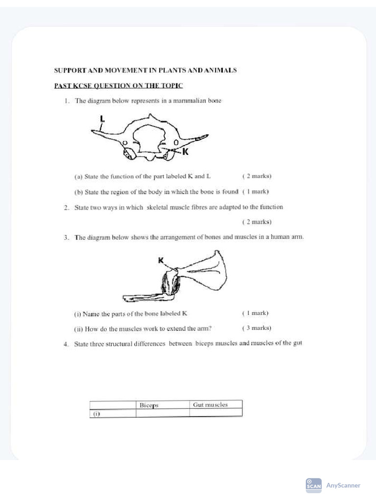 Support and Movement in Plants and Animals | PDF