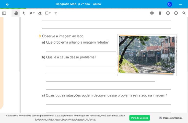 Visor COLÉGIO MARISTA ARQUIDIOCESANO - SP - Ionica | PDF