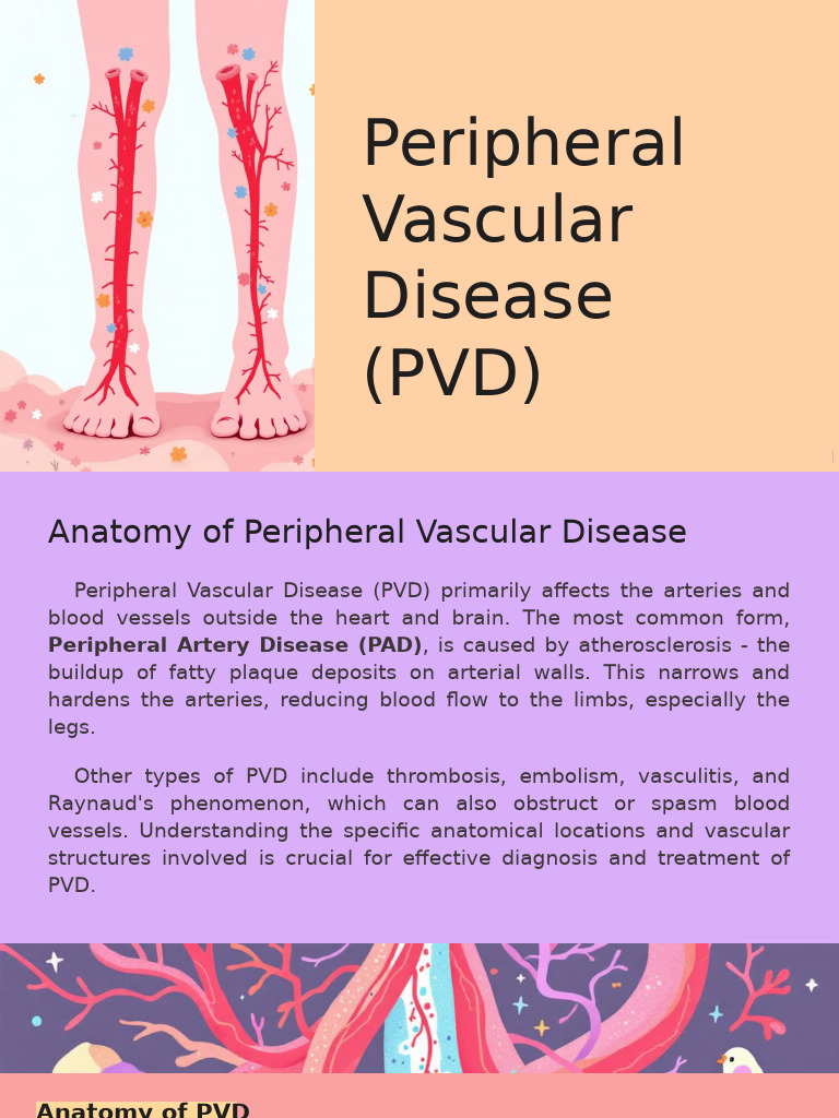 Understanding Peripheral Vascular Disease | PDF | Blood Vessel | Artery