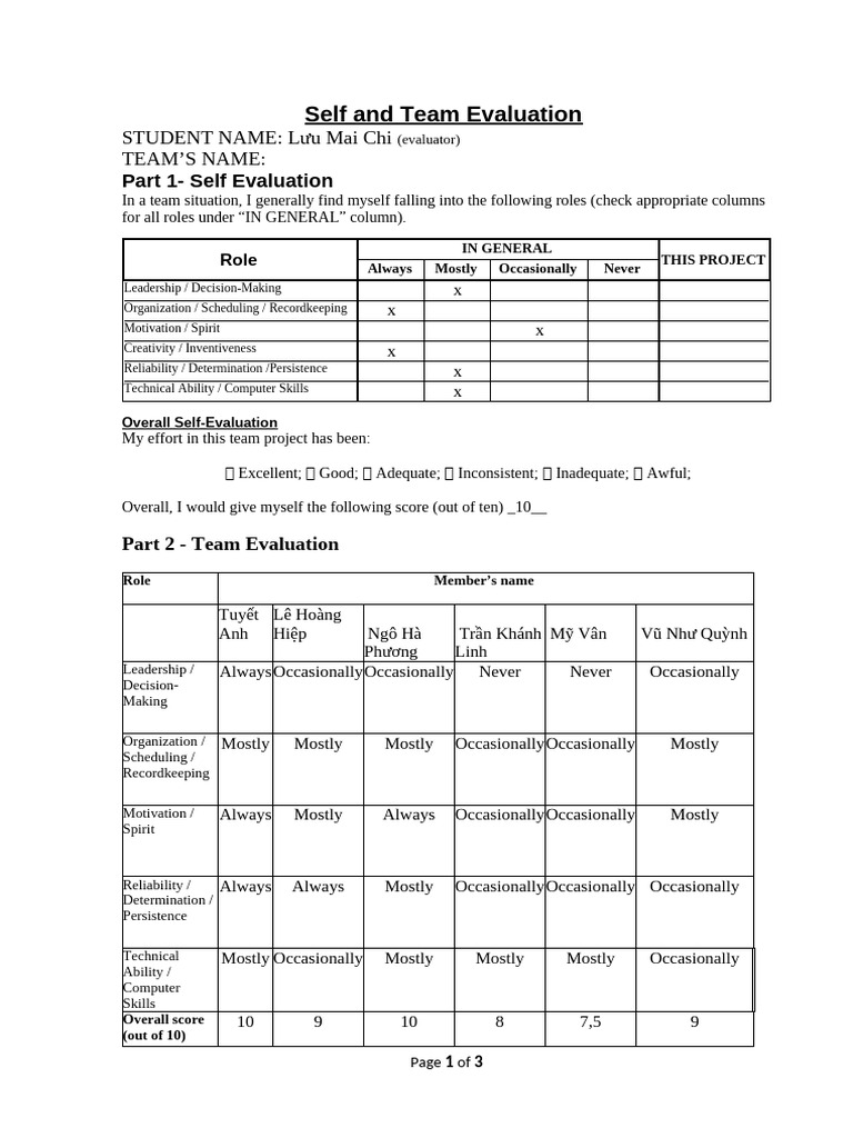 Self and Team Evaluation | PDF | Cognition | Psychology