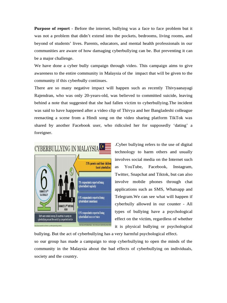 Purpose of Report (New Media) | PDF