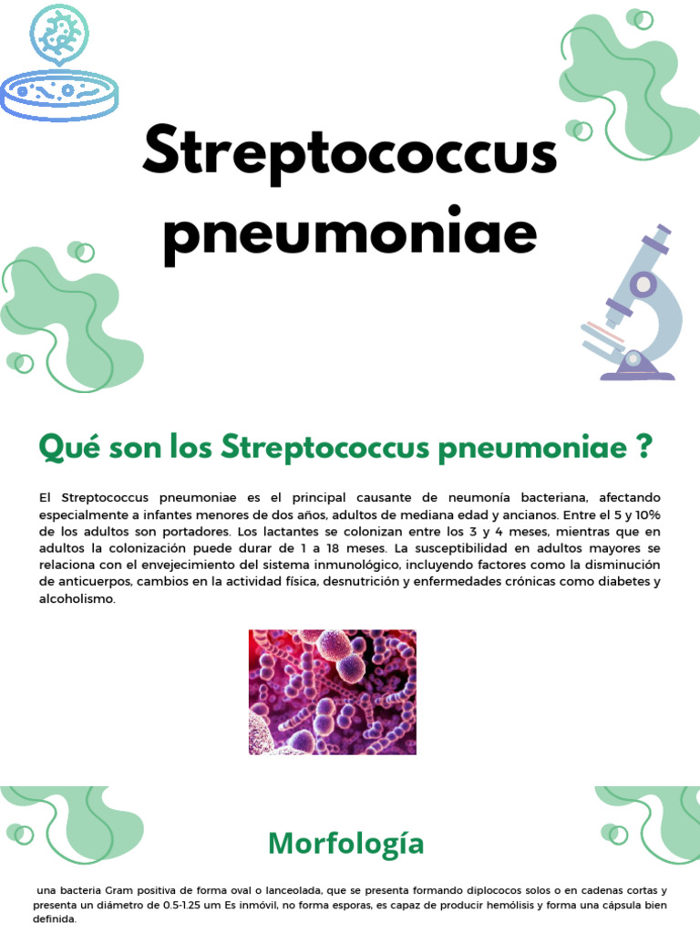 Streptococcus pneumoniae: Guía Clínica | PDF | Estreptococo | Medicina CLINICA