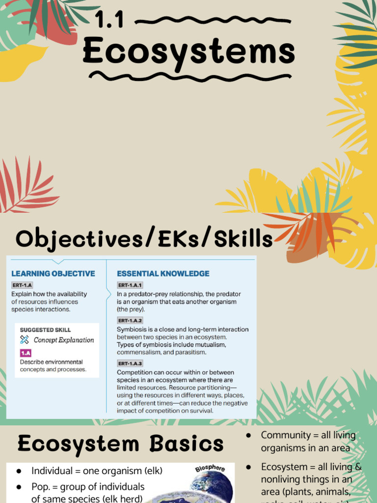 APES Unit 1 Notes Slides | PDF | Food Web | Primary Production