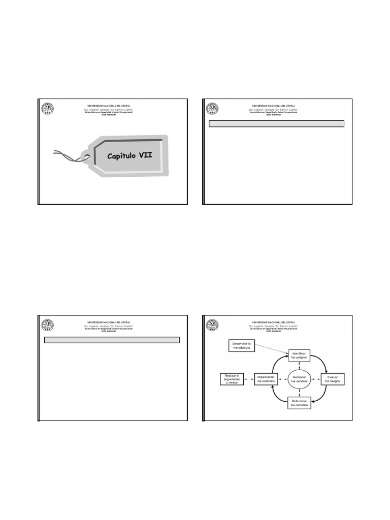 Contenido Capítulos VII Al XII | PDF | Riesgo | Evaluación