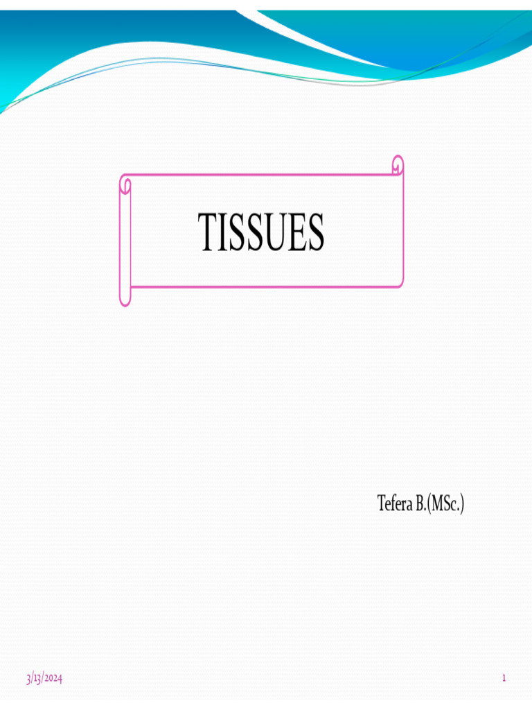 tissue | PDF | Epithelium | Connective Tissue