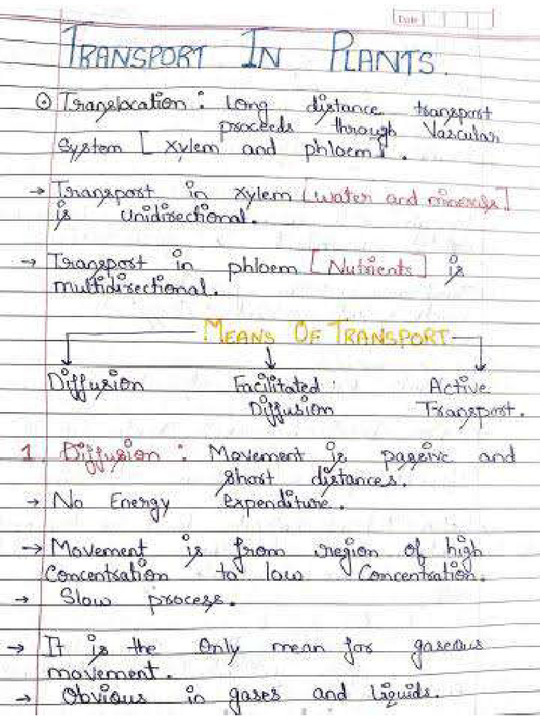 Hand Written Note On Amoeba Sex Reproduction | PDF