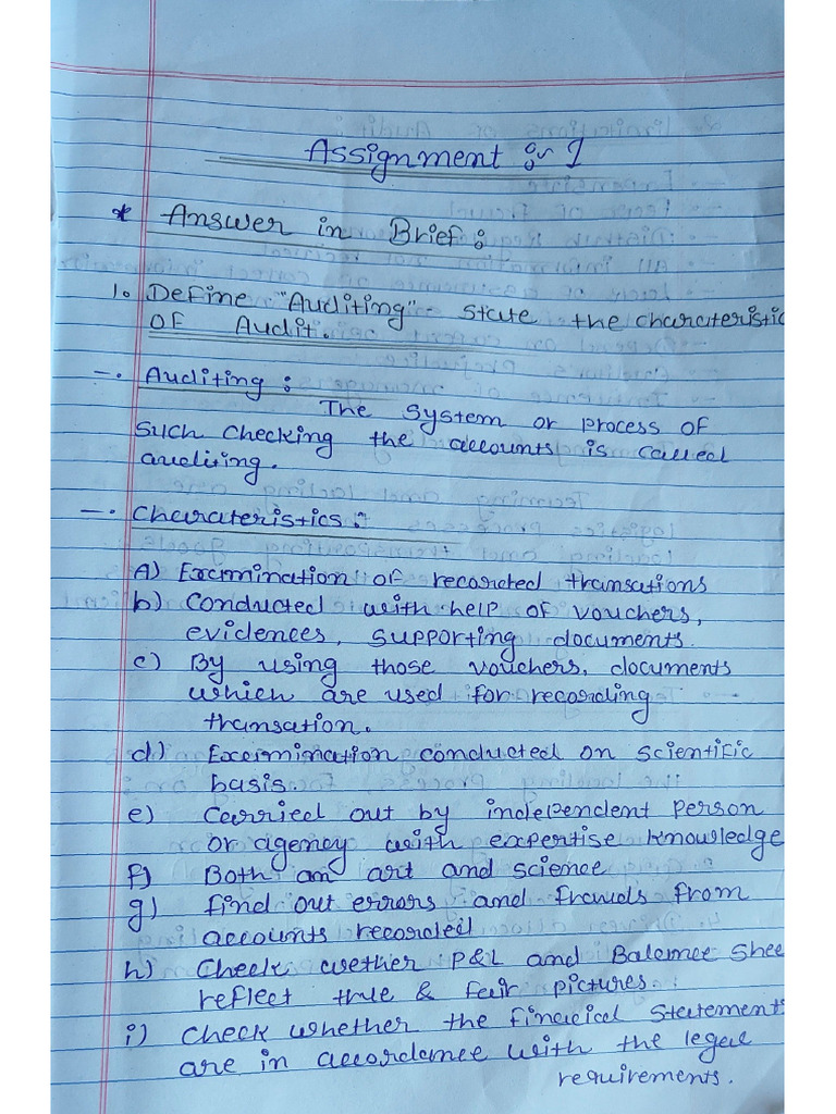 Audit assignment 1 | PDF