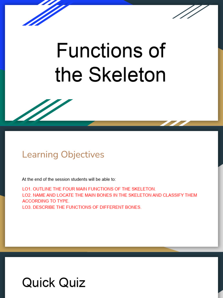 Functions of the Skeleton & types of bones (1) | PDF | Bone | Skeleton