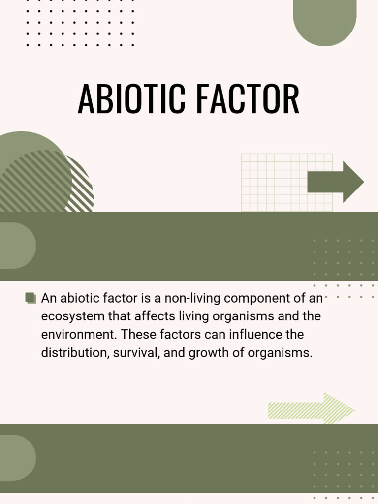 Simultaneous Equations Education Presentation in Green and Cream ...
