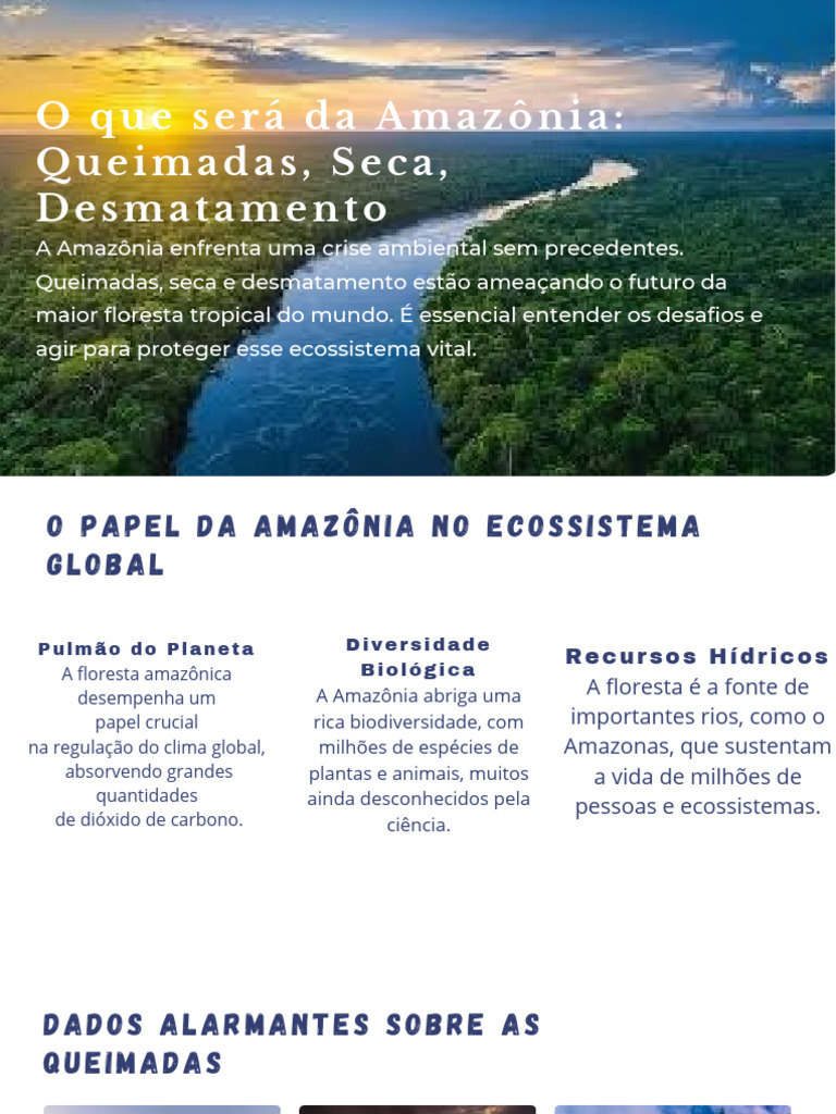 O Que Sera Da Amazonia Queimadas Seca Desmatamento PDF | PDF | Floresta Amazônica | Desmatamento