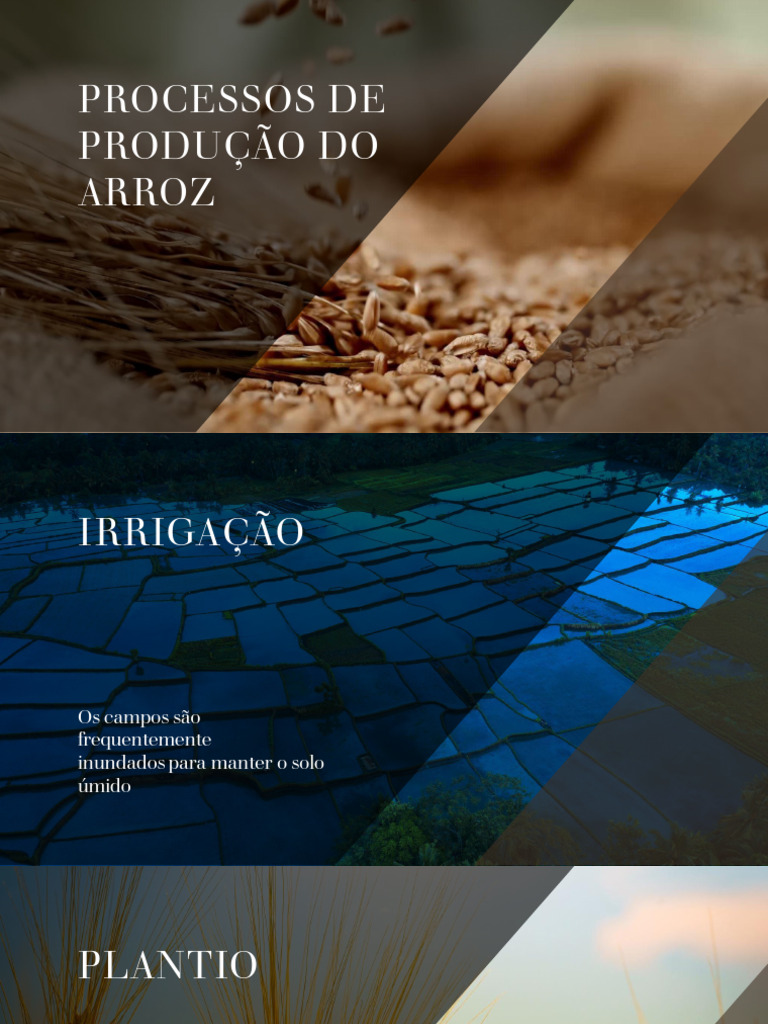 Documento de Laís Gaudereto | PDF