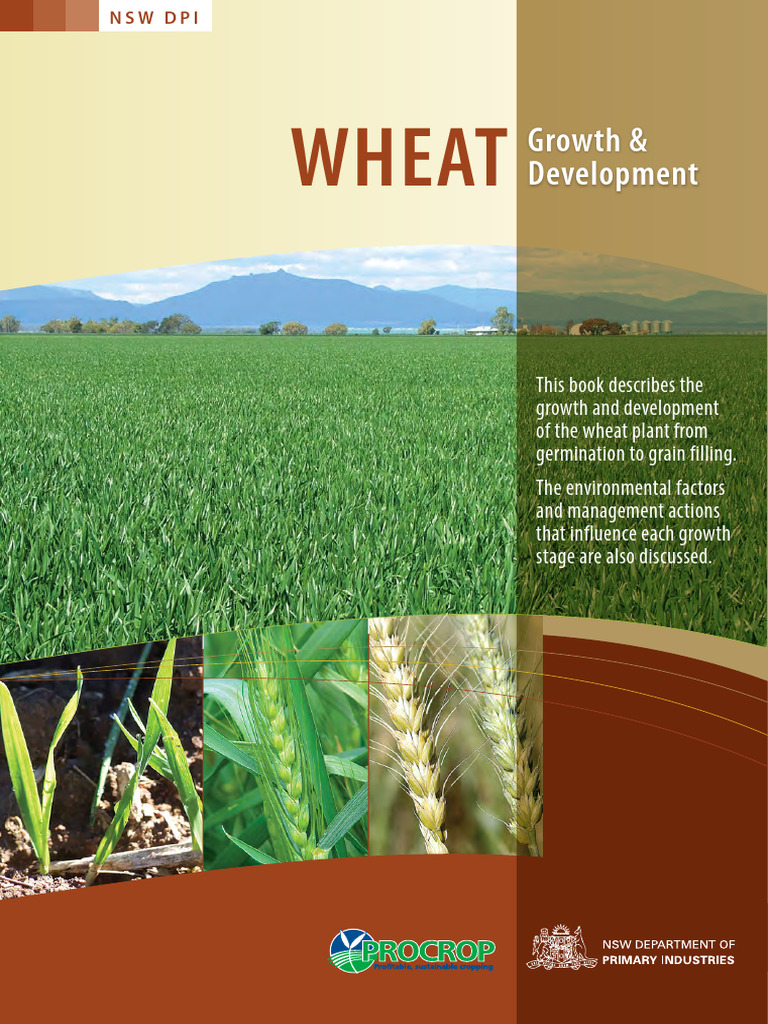 Procrop development | PDF | Seed | Wheat