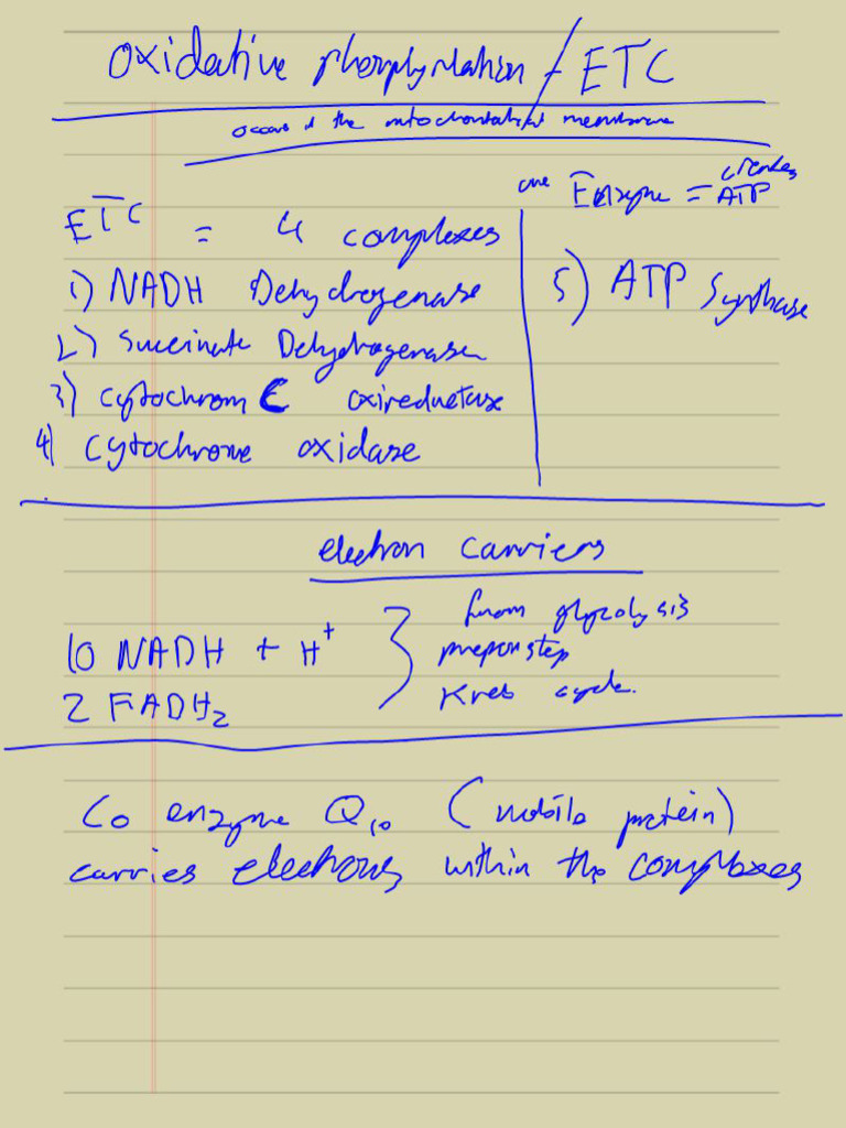 Note 1 Pdf Pdf
