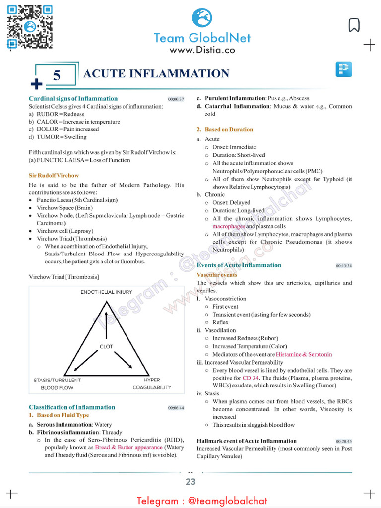 02 Inflammation | PDF