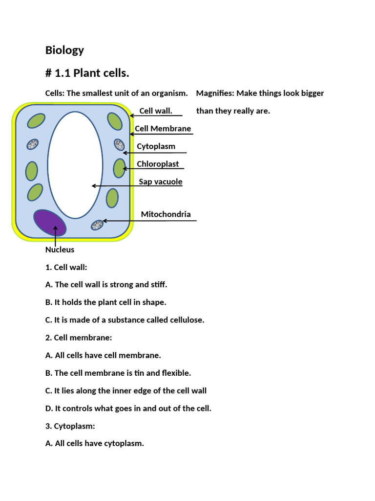 Biology | PDF | Cell (Biology) | Cytoplasm