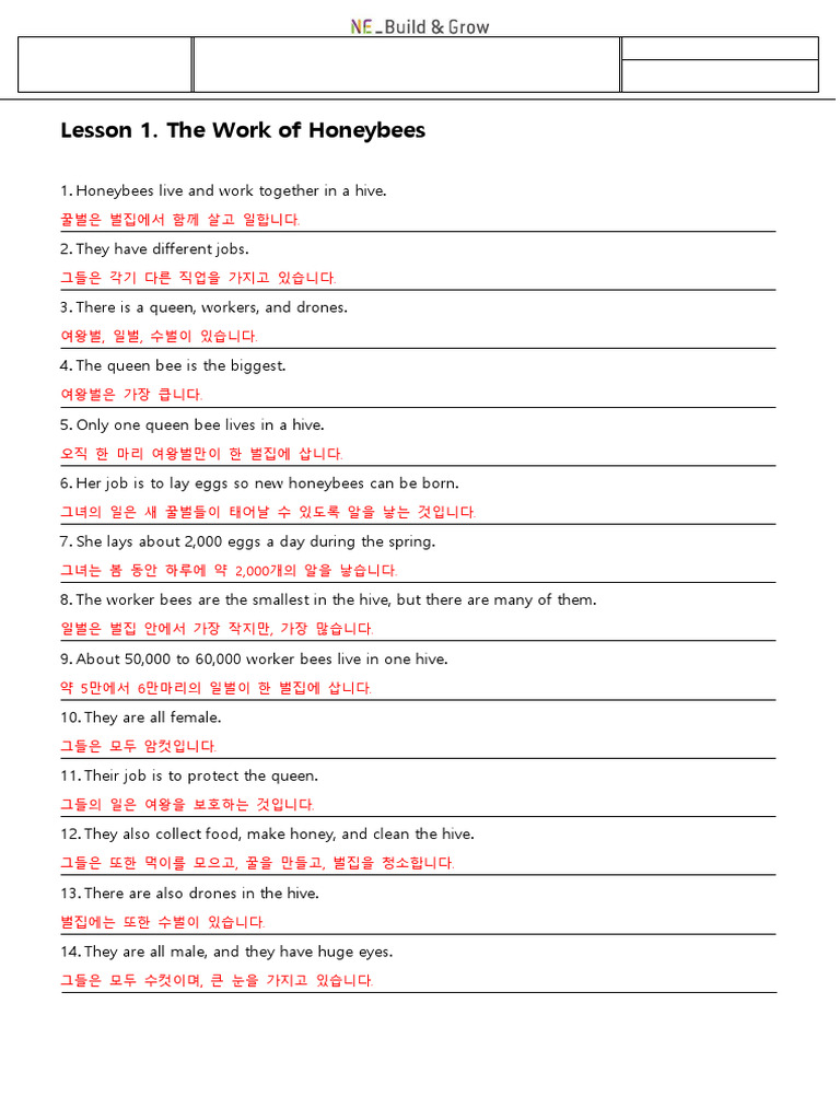 Subject Link 2 (2nd) - Translation Worksheet - AK - PDF | PDF