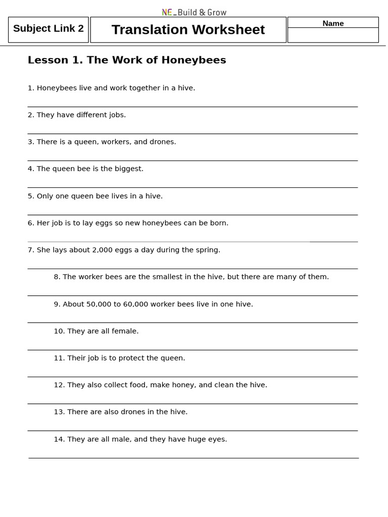 Subject Link 2 (2nd) - Translation Worksheet - WORD | PDF | Honey Bee | Beehive
