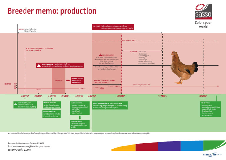 SASSO Technical Memo Production En | PDF | Ornithology | Birds