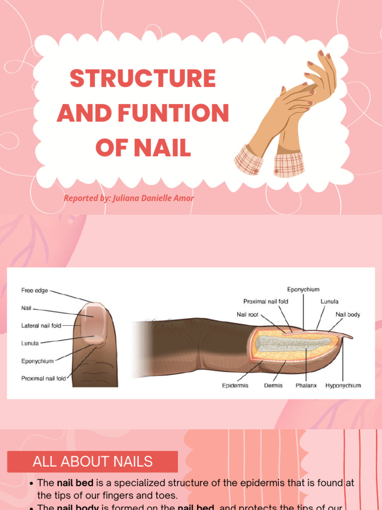 Amor__Nails | PDF