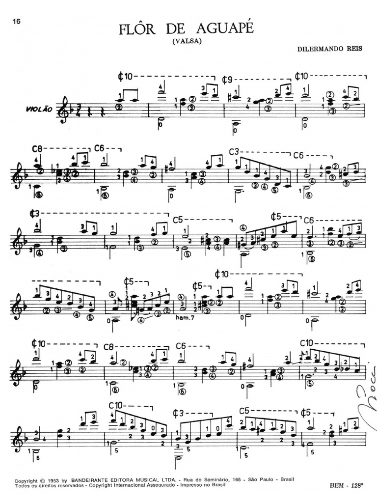 Flor de Aguapê e Noite de Lua | PDF