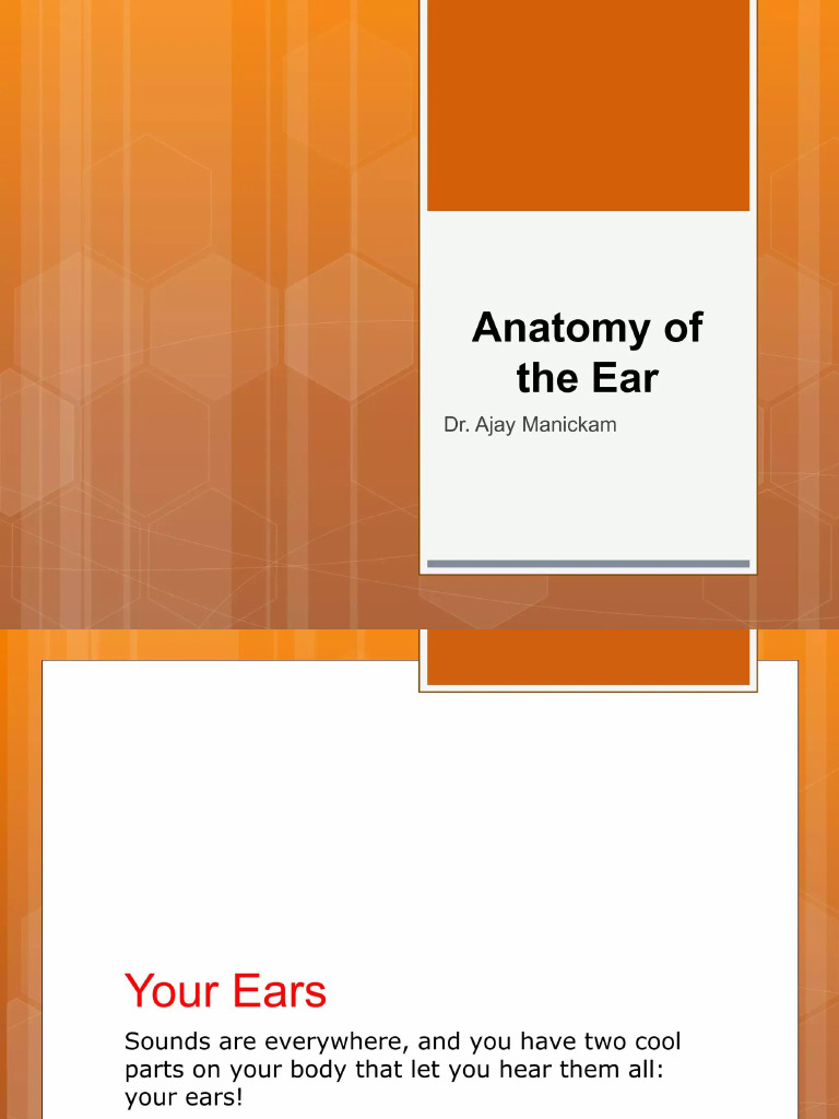 Anatomy of Ear - 20241226 - 093437 | PDF