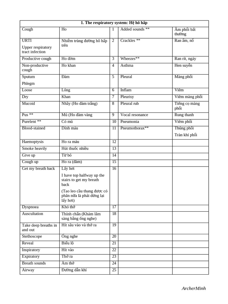 GIỮA KỲ AVCN 2 | PDF