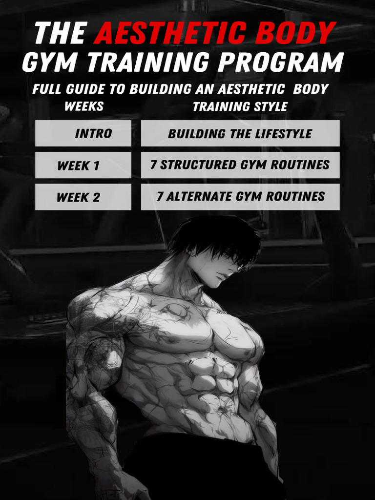 Aesthetic Bodybuilding Guide | PDF