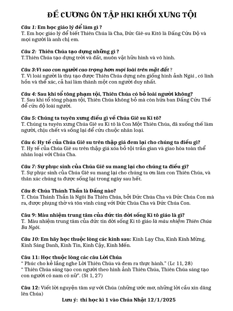 ÔN THI HKI KHỐI XƯNG TỘI | PDF
