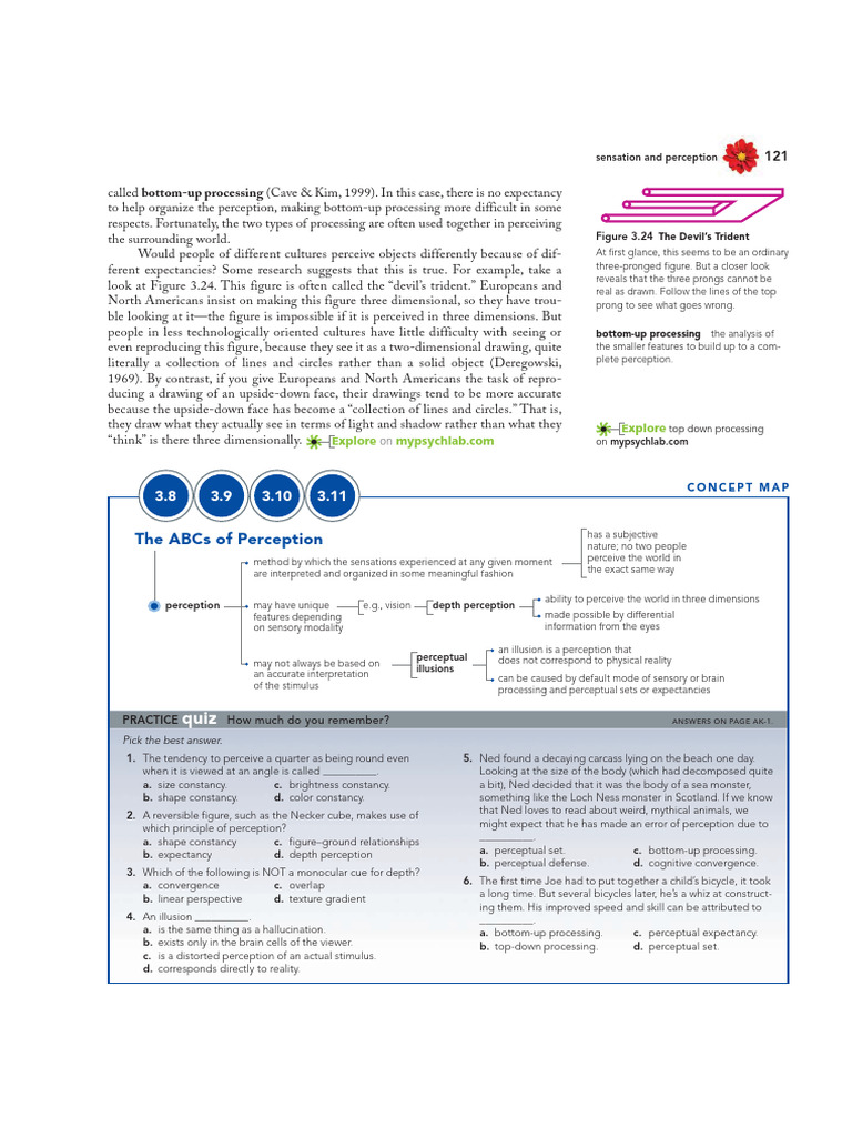 Unit III (a) | PDF | Perception | Magic (Illusion)