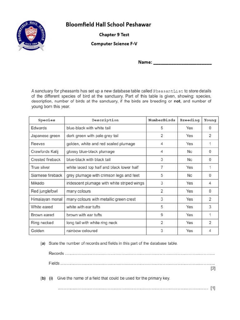 O Levels Computer Science Chapter 9 Test | PDF