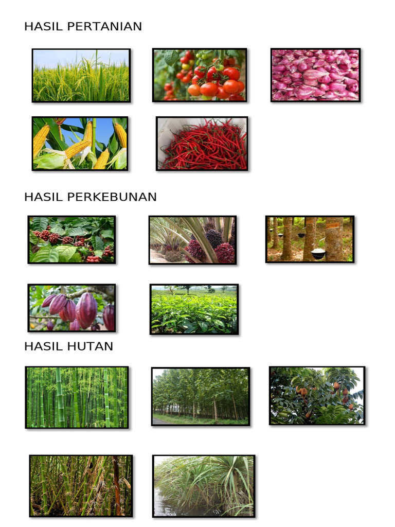 Hasil Bumi | PDF